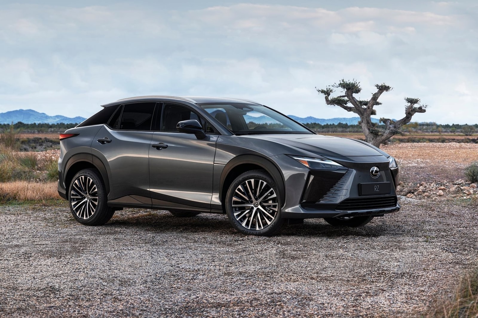 Los fabricantes japoneses forman una alianza de vehículos eléctricos.