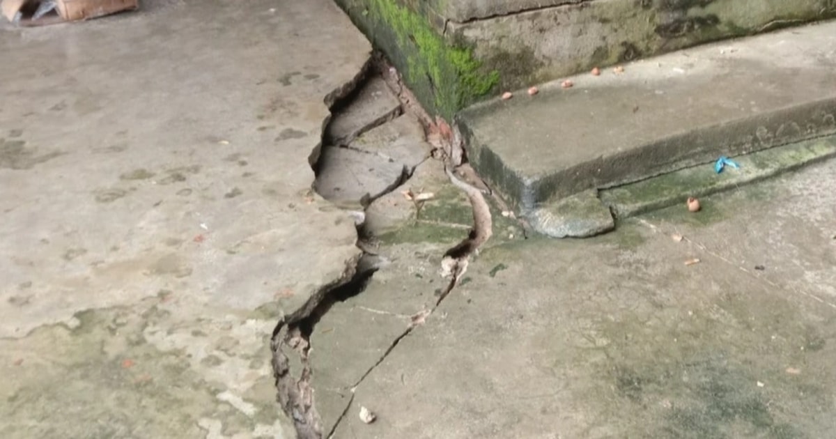 House shook after loud noise, garden collapsed into 'death hole'