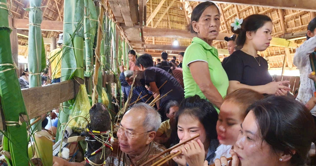 Unique Et Dong festival, eating bamboo rat meat on the Truong Son Dong ...