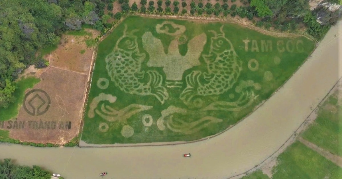 La pintura "Carpa saltando sobre la Puerta del Dragón" representa el ...