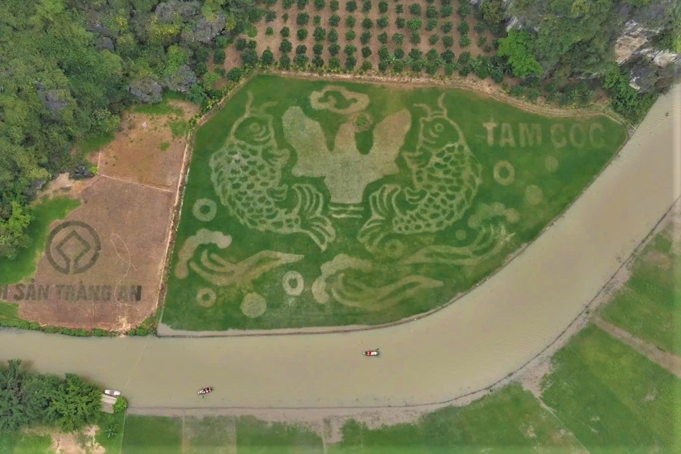 La pintura "Carpa saltando sobre la Puerta del Dragón" representa el ...