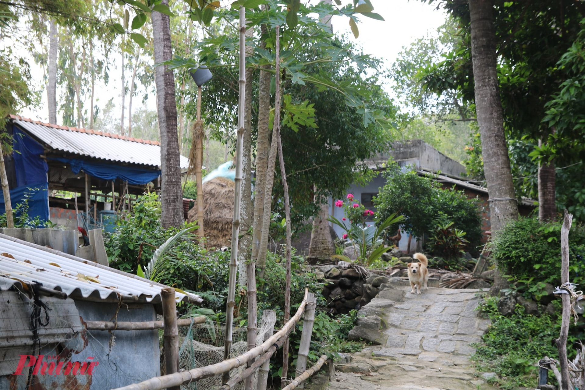 Go Co, one day is enough to love