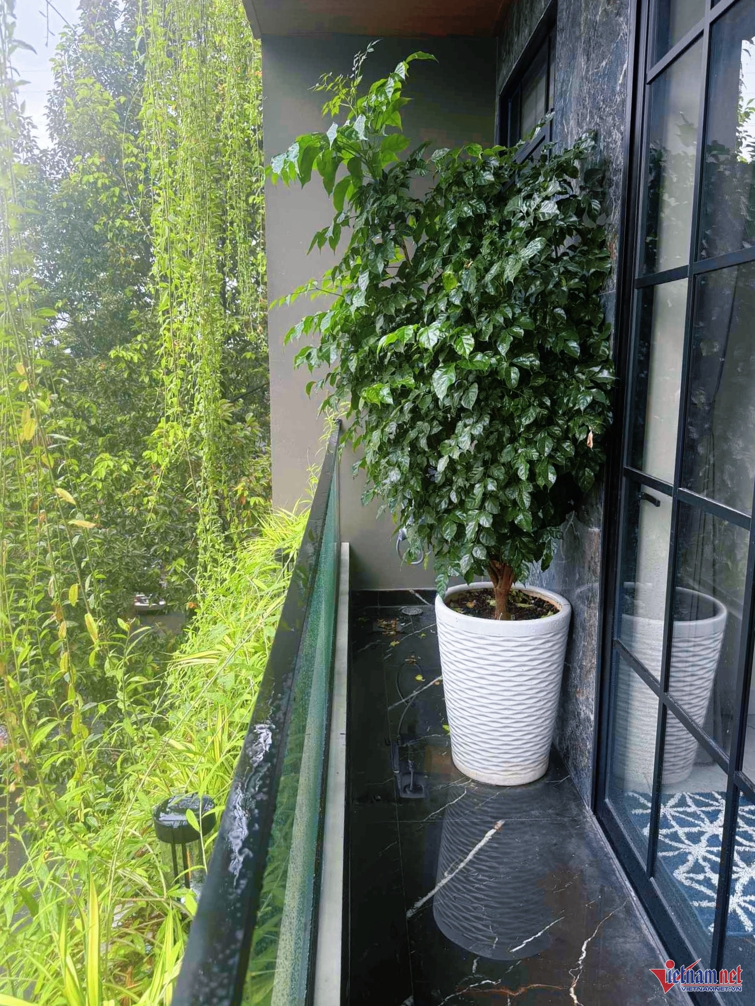 Rumah kota 5 lantai milik penyanyi Quach Thanh Danh senilai puluhan ...