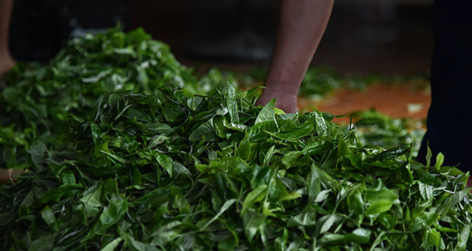 The Ministry of Industry and Trade is intervening to resolve the ...