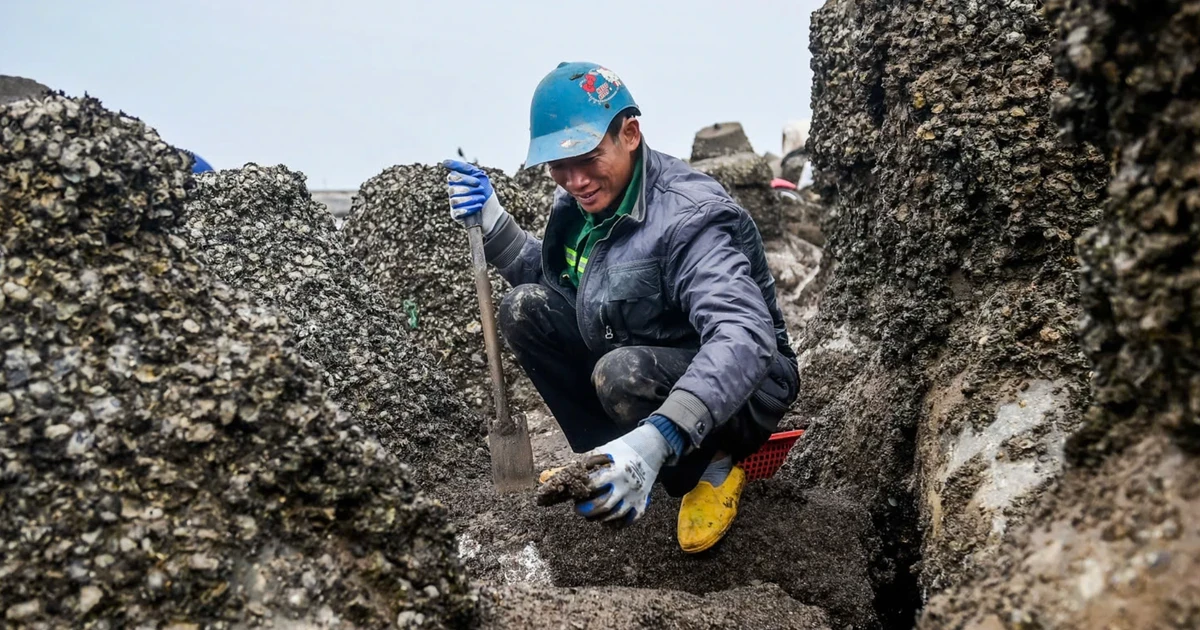 Making a living on the beach amidst the bone-chilling cold that numbs ...