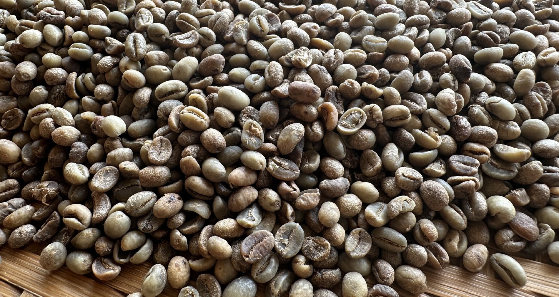 Sólo en los primeros 15 días del año, un negocio que vendía un solo ...