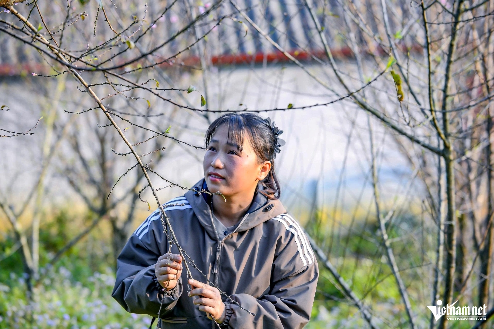 Early spring check-in in the highlands of Thanh Hoa province, where ...