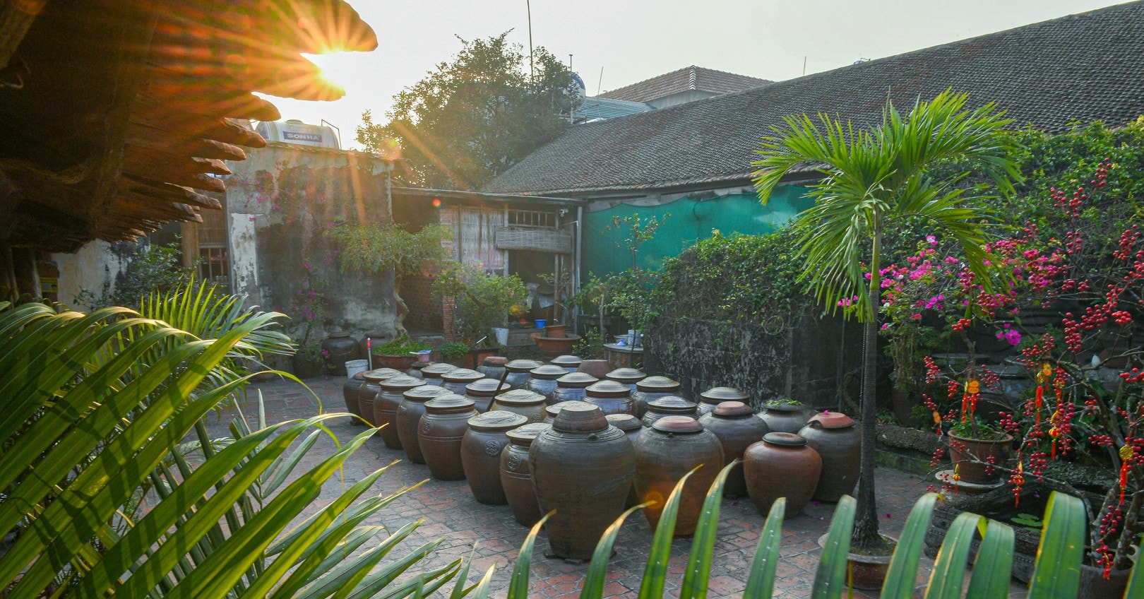 Duong Lam sticky rice paste: A rich, fragrant specialty from Hanoi's ...
