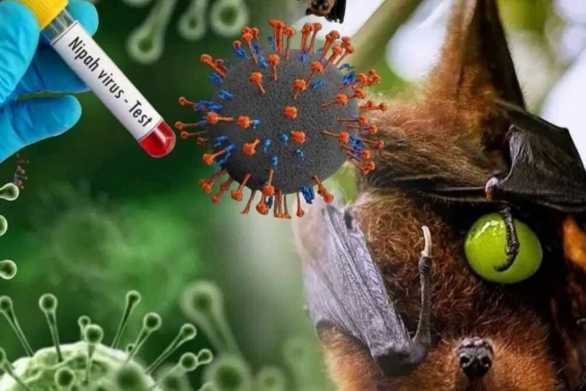 Nipah virus, which causes meningitis, has a lower transmission rate ...
